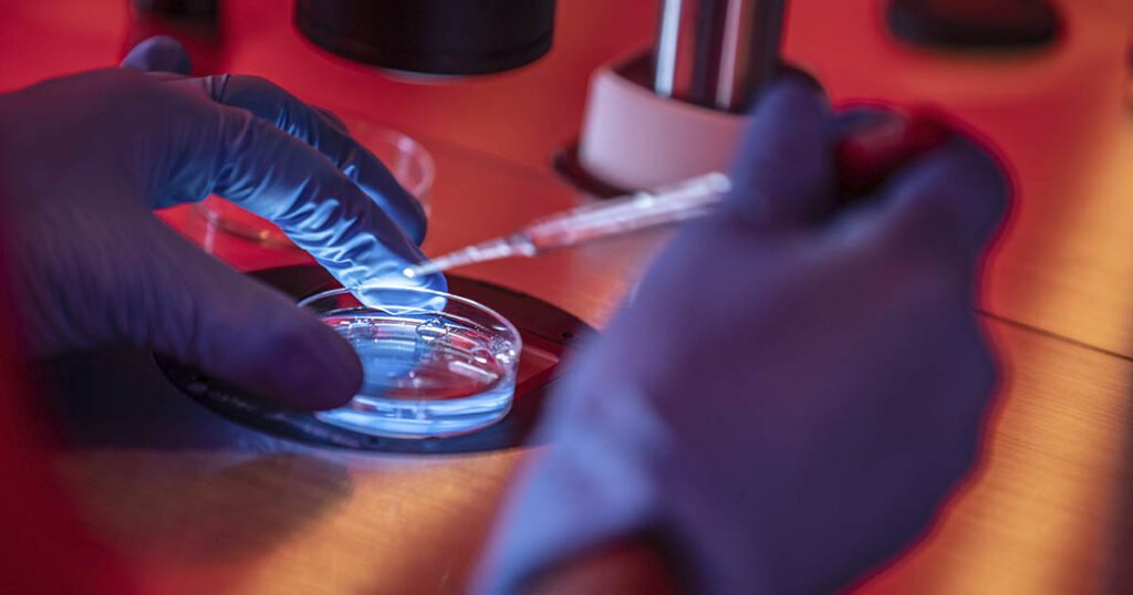 Fecundación In Vitro — Reproducción Humana Honduras